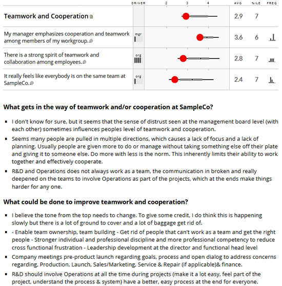 Employee Engagement Survey Dashboard Sample - Targeted Written Comments